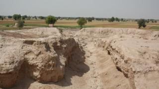 Harappa grave of ancient 'couple' reveals secrets - BBC News