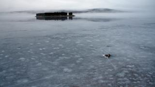Approval suggested for Culachy and Tom Nan Clach wind farms - BBC News