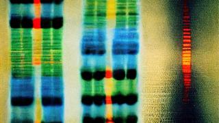 Updated DNA map better reflects human diversity - BBC News