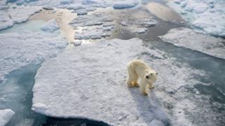 What's behind the UK's freezing weather? - BBC News