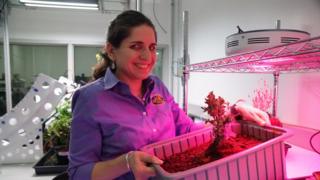 The first person on Mars 'should be a woman' - BBC News