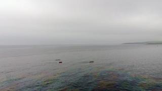 Larne diesel spill: Caterpillar NI admits it was source - BBC News