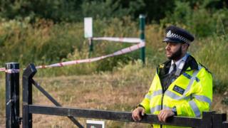 Sisters Nicole Smallman and Bibaa Henry 'murdered by stranger' - BBC News