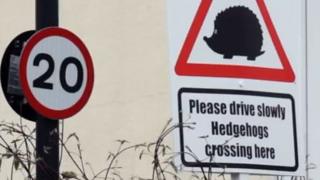 Homemade hedgehog crossing signs put up by Bristol road - BBC News
