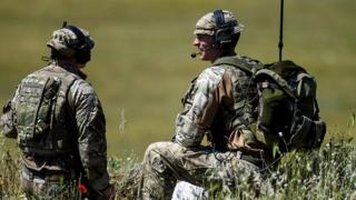 Nato summit: What does the US contribute? - BBC News