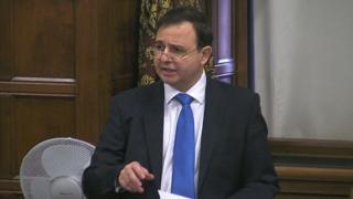 Parliamentary debate on Botox party lip filler mishap - BBC News