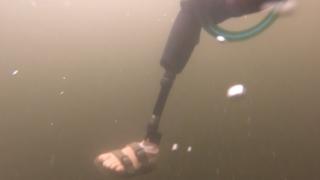 Windermere diver retrieves lost prosthetic leg from lake - BBC News