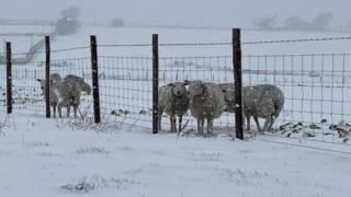 Yorkshire affected by heavy snow and strong winds - BBC News