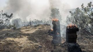 In pictures: Battling the UK wildfires - BBC News