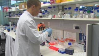 Dolly the sheep creator Ian Wilmut dies aged 79 - BBC News