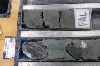 Climate change: A small green rock's warning about our future - BBC News