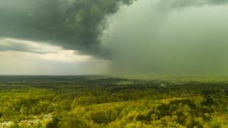 Pollen clouds shroud parts of US south-east as allergies spike - BBC News