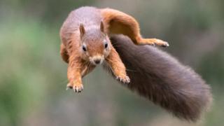 Your pictures of Scotland: 7 - 14 October - BBC News