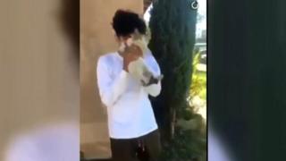 Police hunt for suspect in California cat abuse video - BBC News
