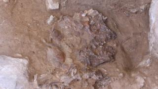 Neanderthal 'skeleton' is first found in a decade - BBC News