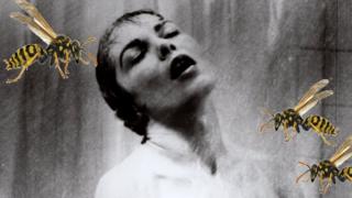 What to do if you're attacked by a swarm of wasps - BBC News