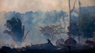 Amazon fires: What's the latest in Brazil? - BBC News