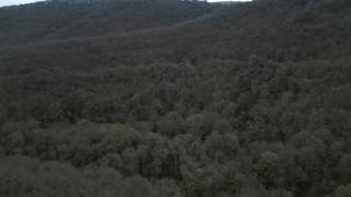 Devon Wildlife Trust wants to double size of county's rainforests - BBC ...