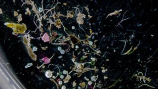 Wastewater is 'polluting rivers with microplastic' - BBC News