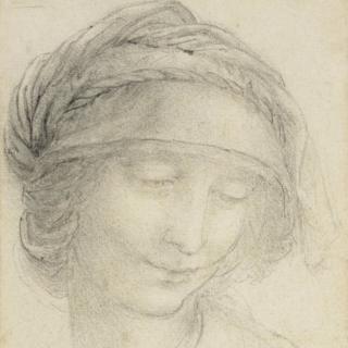 Leonardo Da Vinci drawings on display at Ulster Museum - BBC News