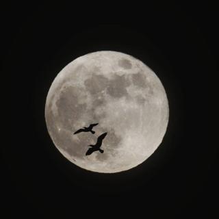 Your pictures: Super blue Moon lights up Scotland's skies - BBC News