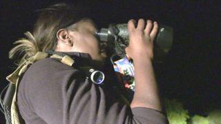 What is poaching? A Newsround guide - BBC Newsround