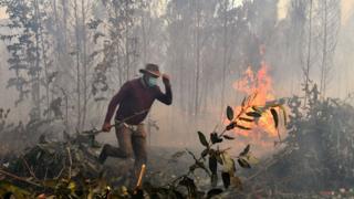 IPCC: Climate change report to sound warning on impacts - BBC News