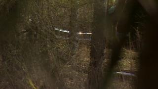 Morpeth woodland closed off as potential human bones found - BBC News