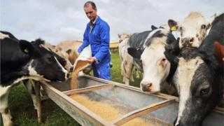 Climate change: Do I need to stop eating meat? - BBC News