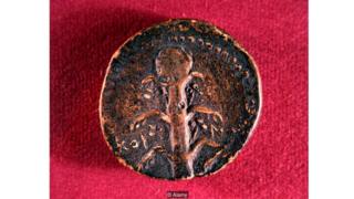 Silfio: el enigma de la planta "milagrosa" que sedujo a griegos y ...