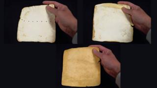 Mycelium: Leather made of fungi can self-repair - BBC Newsround