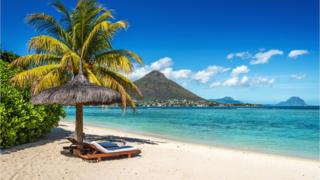 Secret life of the dodo revealed - BBC News