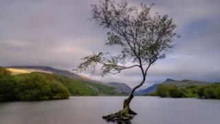 Maindy Velodrome: Last remnant of Wales' biggest event - BBC News