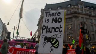 Climate change: How to be more eco-friendly in everyday life - BBC News