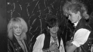 Spiders in Hull: Music venue photos display a 'rare gem' - BBC News