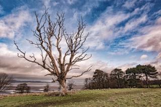 Your pictures of Scotland 15 - 22 January - BBC News