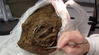 Watlington hoard: Relics purchased for £1.35m by Ashmolean Museum - BBC ...