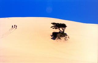 Your pictures on the theme of 'uphill' - BBC News