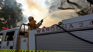 Australia Waroona fire: 'Inferno was just metres from us' - BBC News