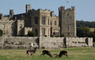 Raby Castle 'perfect retreat' for photographer during lockdown - BBC News