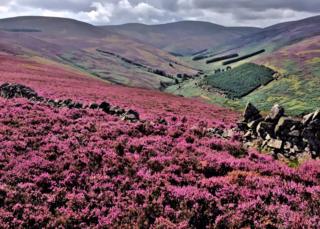 Your pictures of Scotland: 13 - 20 August - BBC News