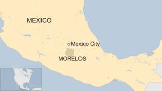 Mexican environmental activist murdered in Morelos - BBC News