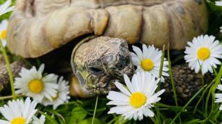 Your pictures of Scotland: 27 May - 3 June - BBC News