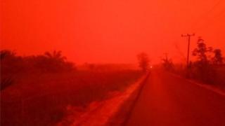 Kebakaran hutan: Sejumlah perusahaan di balik karhutla 2015-2018 lolos dari sanksi serius - BBC ...