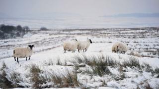 In pictures: Scotland in the snow - BBC News