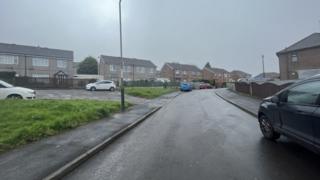 Caerphilly: Baby in hospital after dog attack - BBC News
