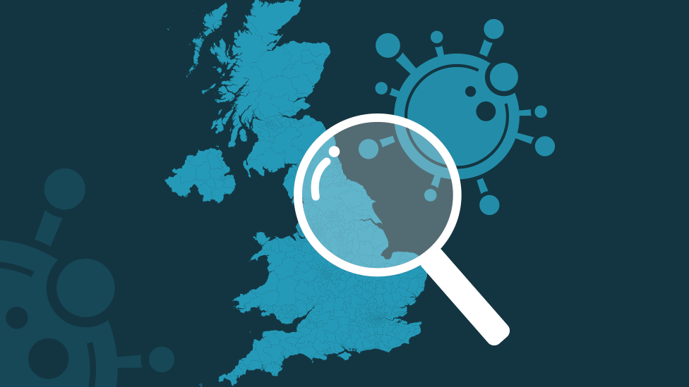 Covid-19 in the UK - BBC News