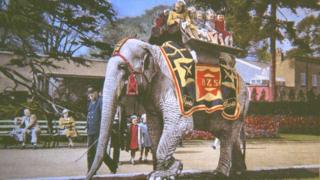 Bristol Zoo in pictures: Attraction shuts after 186 years - BBC News