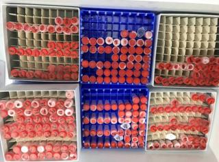 Artificial life form given 'synthetic DNA' - BBC News