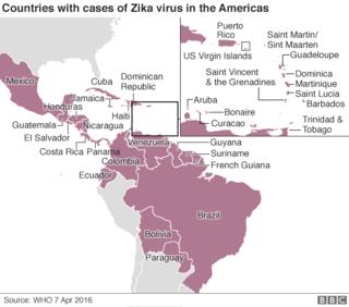 Zika virus 'scarier than thought' says US - BBC News